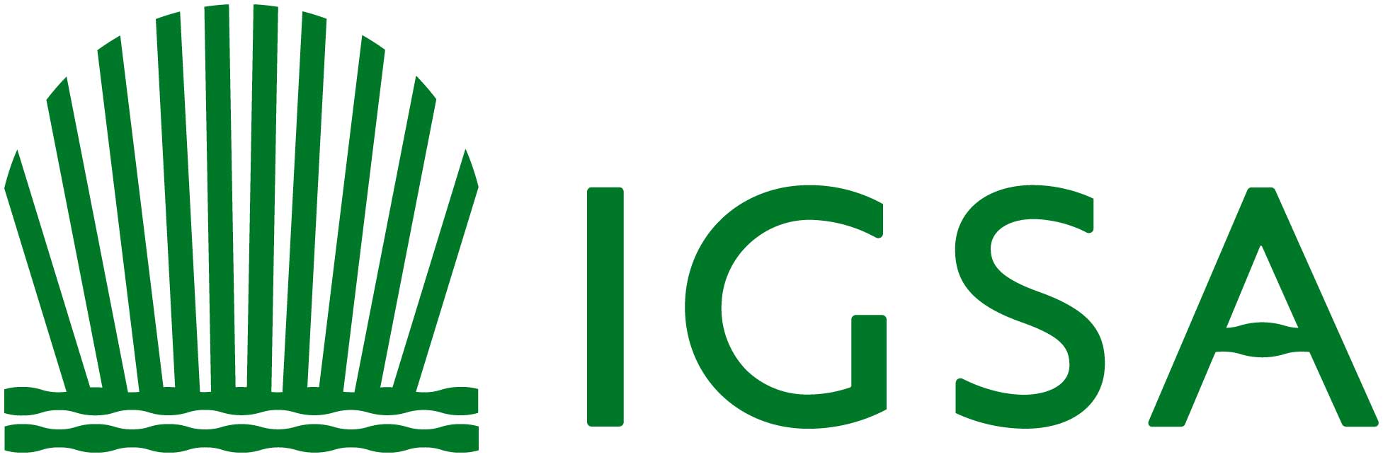 IGSA、LLM導入・活用支援サービス提供 | 日刊工業新聞 電子版