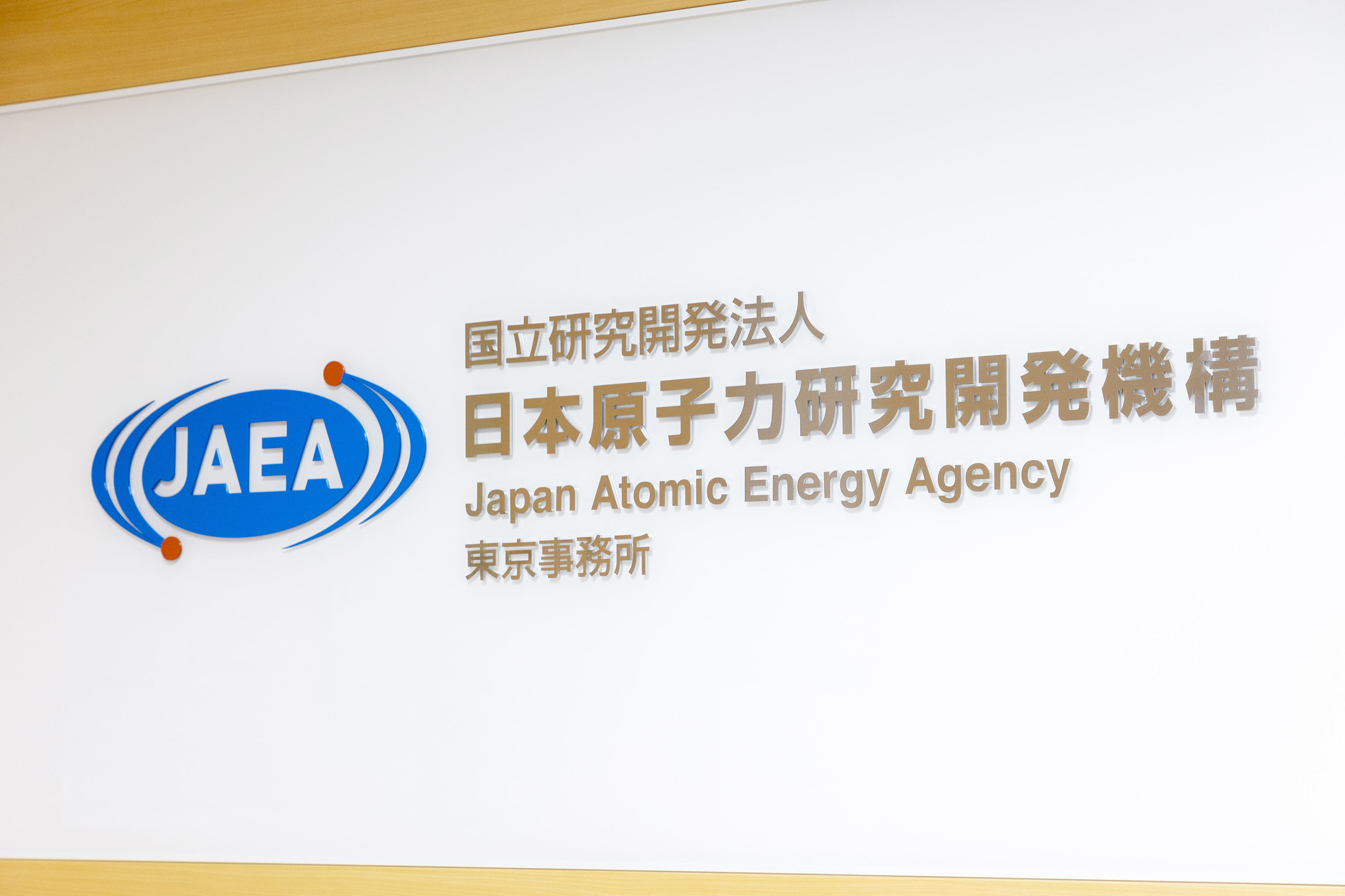 原子力機構、研究開発の縦割り解消 最高責任者職を創設 | 日刊工業新聞 電子版